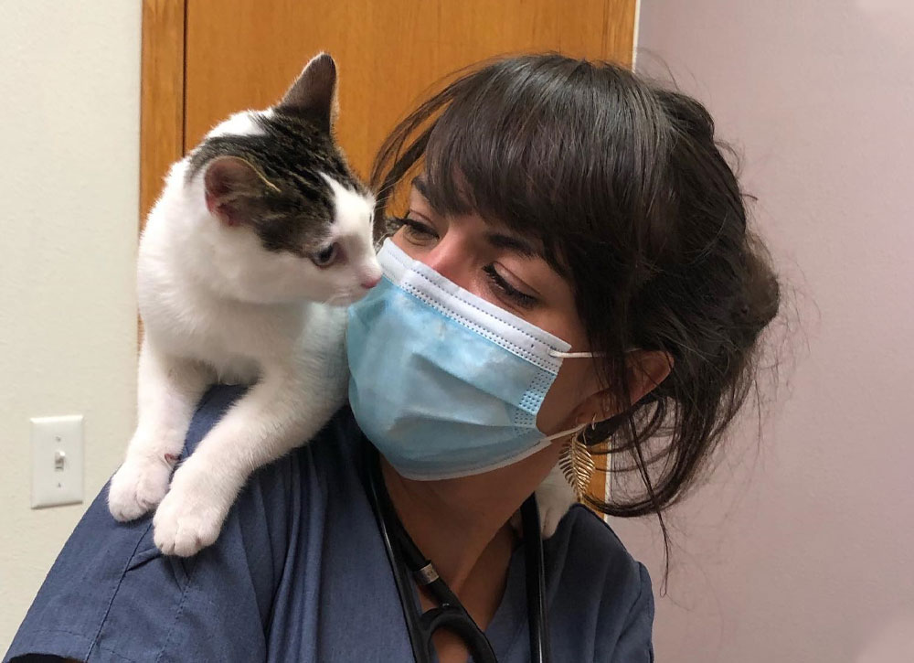 Animal Poison Control - Longmont Small Animal Hospital | Keep Pets Safe ...